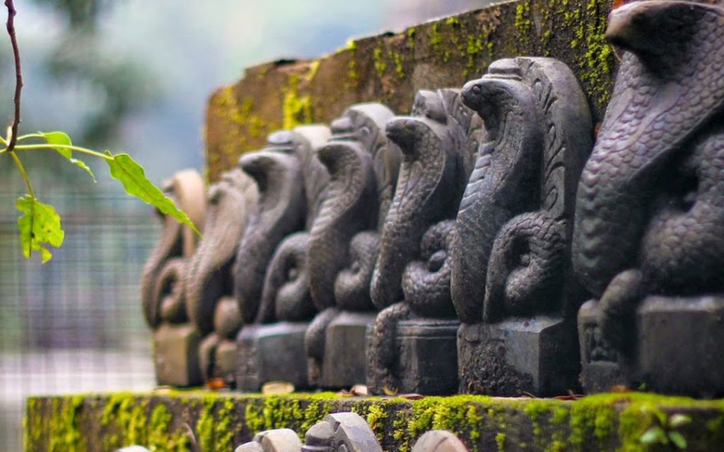 Mannarasala Ayilyam 2019 – keralatourism.holiday