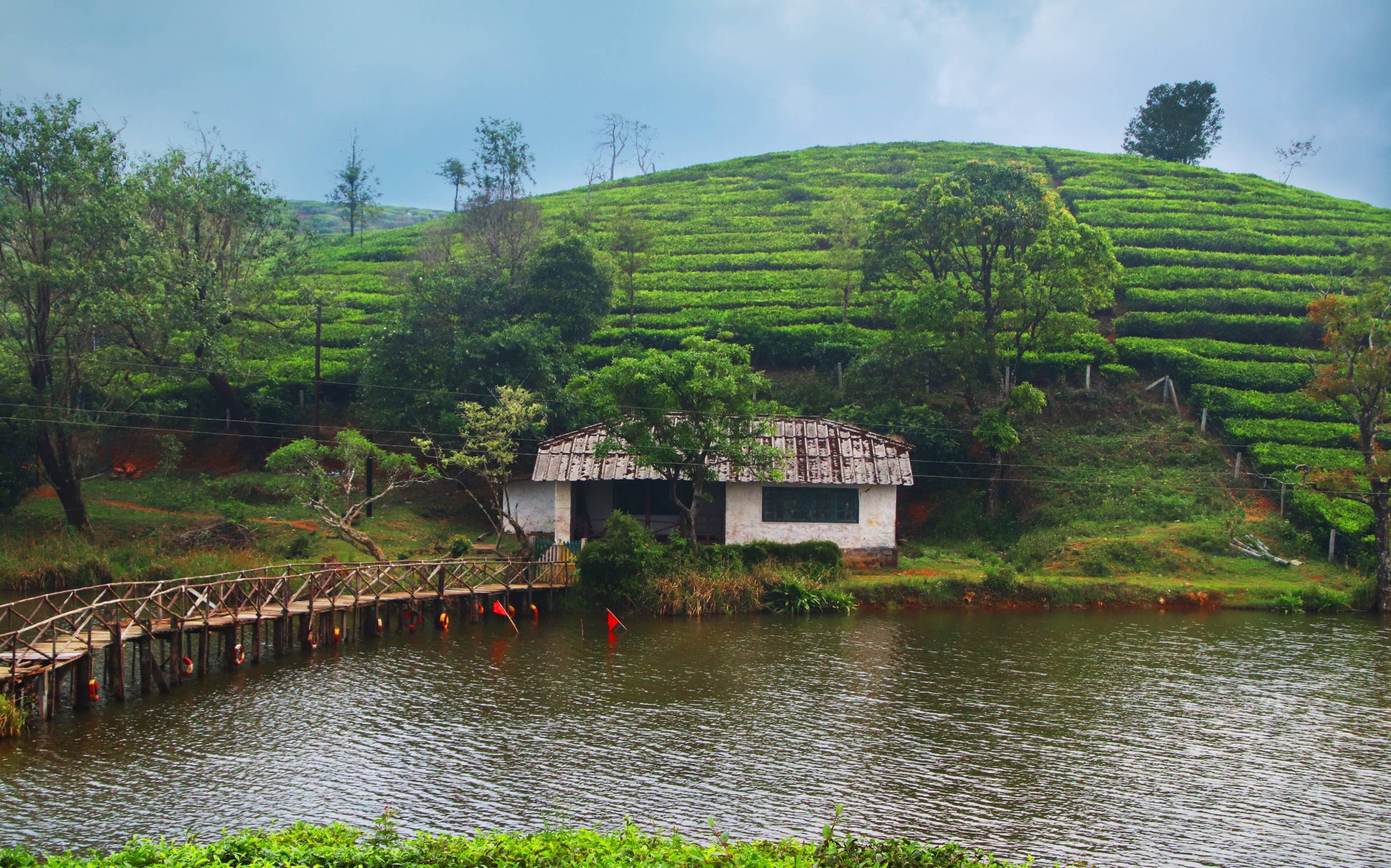 Best Time to Visit Kerala in Monsoon – Travel Guide 2026